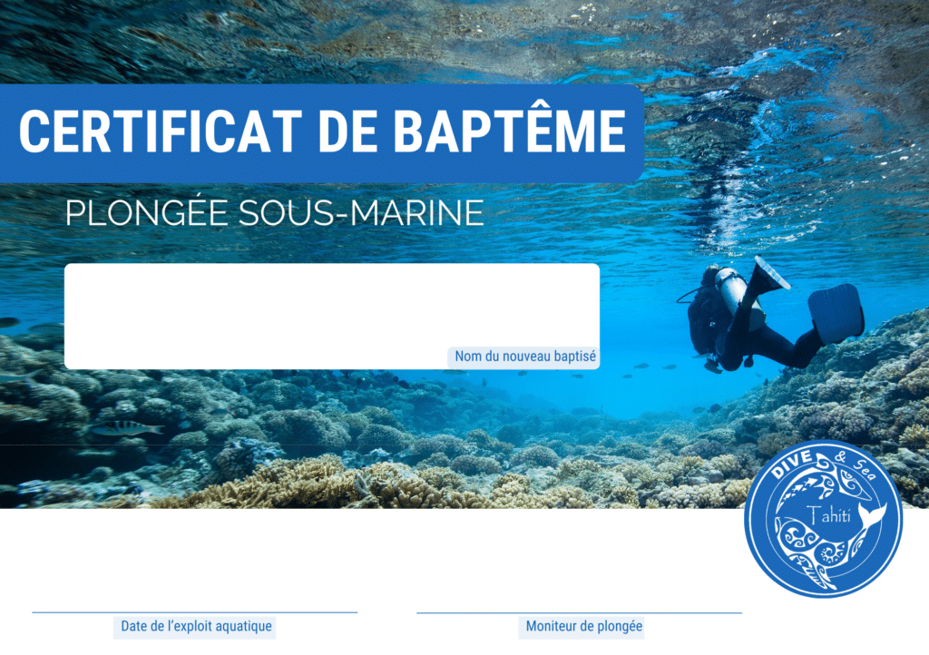 Baptême de plongée à Tahiti - Dive and Sea